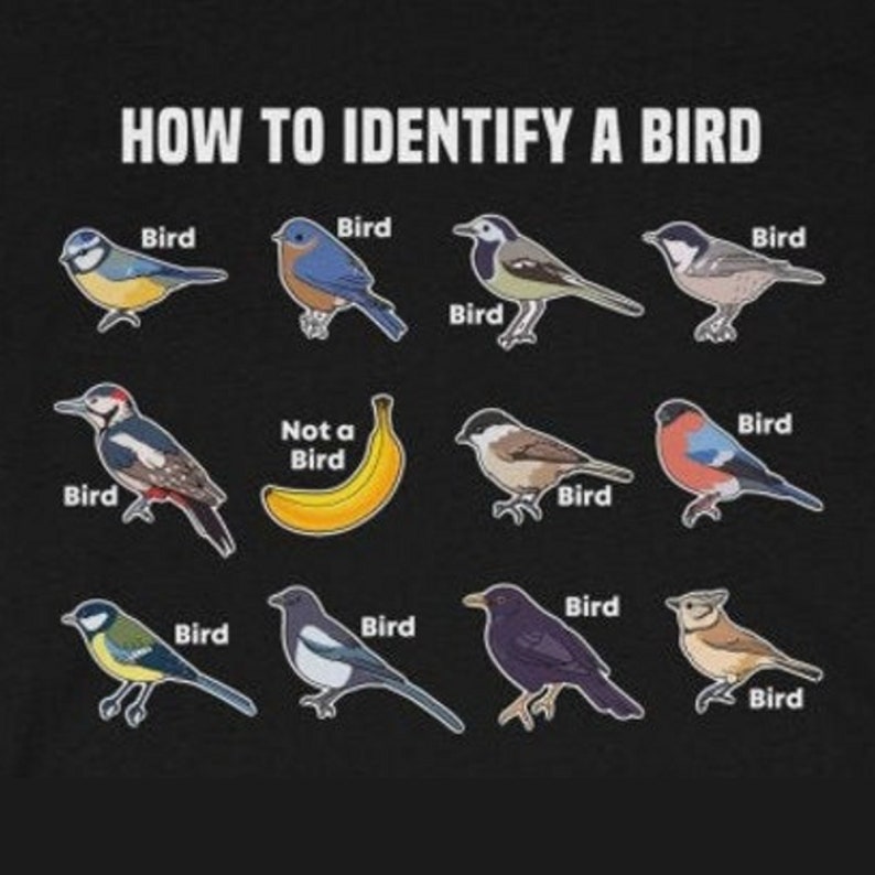 How to Identify Birds T-shirt / Funny Bird Nerd Tee for Birders ...