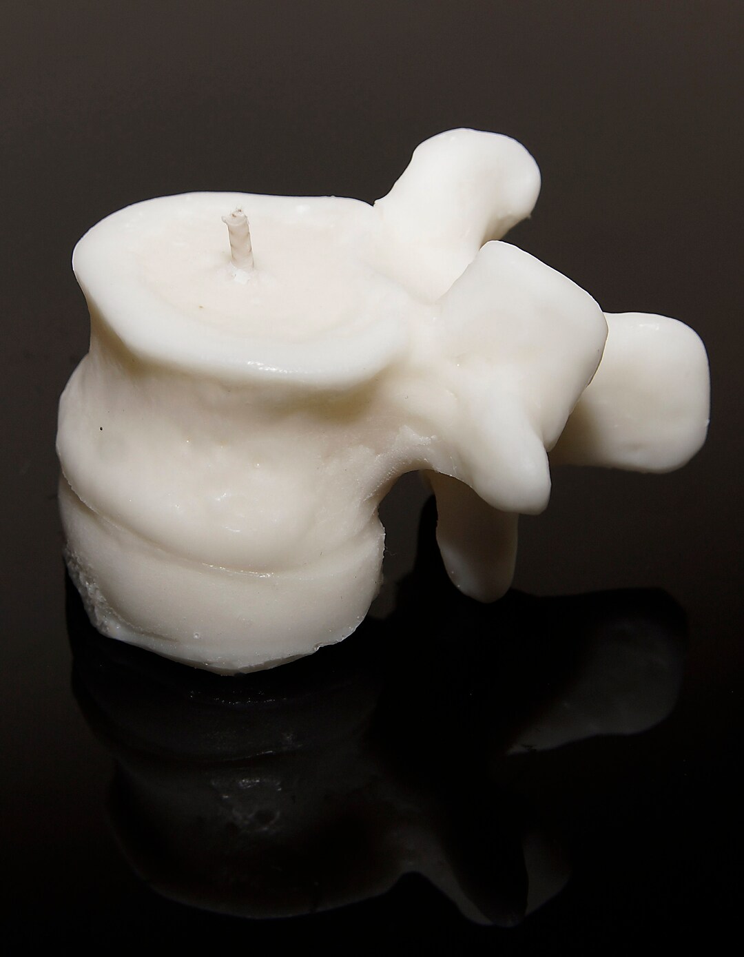 2 X 1:1 Scale Human Lumbar Vertebrae Spine Candles - Etsy Australia