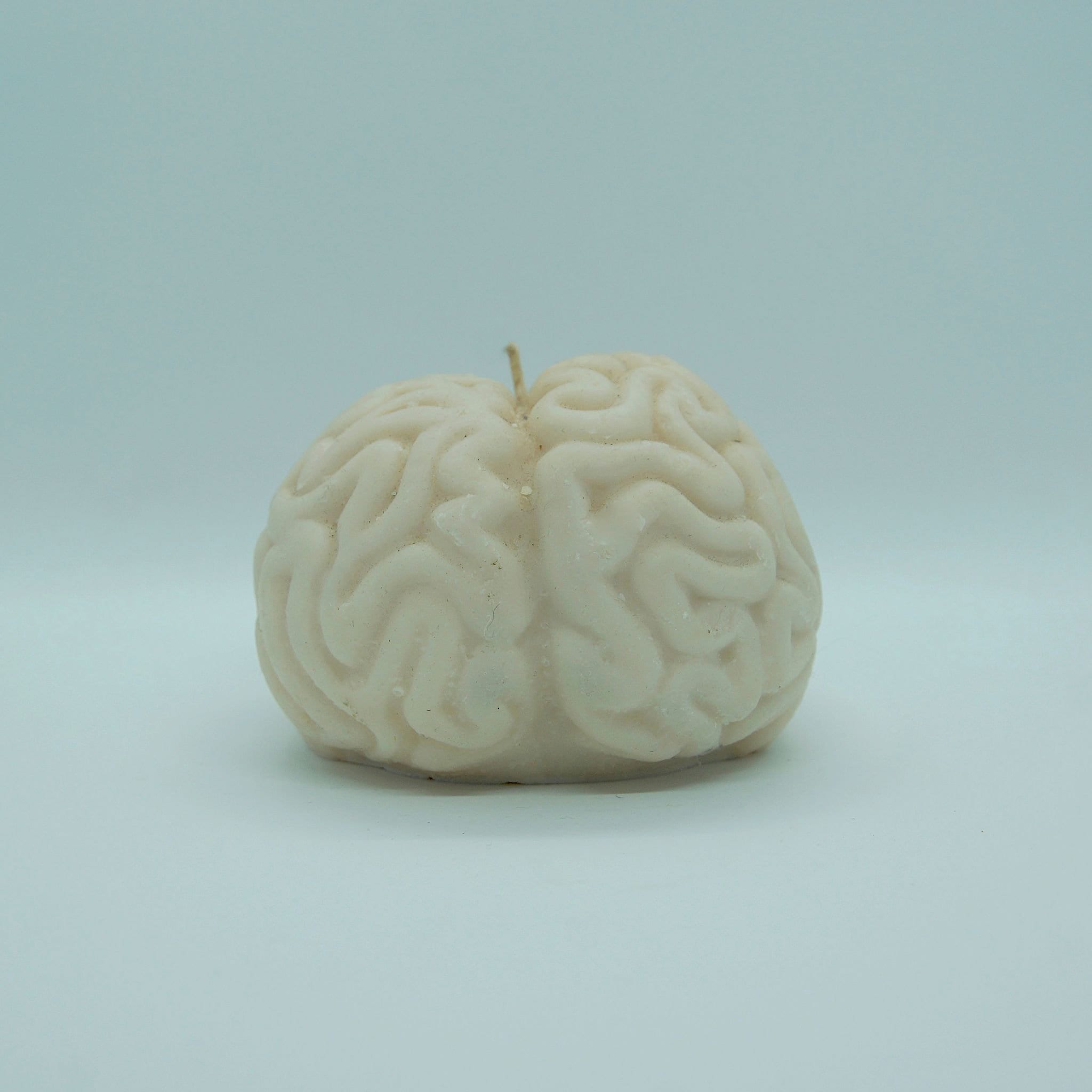 1:1 Scale Adult Human Brain Candle Made From All Natural Soy | Etsy
