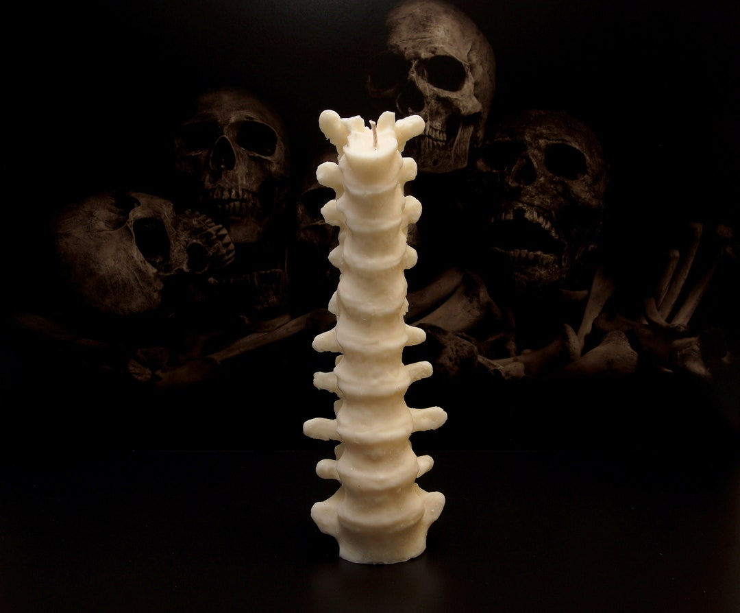 1:1 Scale Human Spine Segment Soy Wax Candle - Etsy