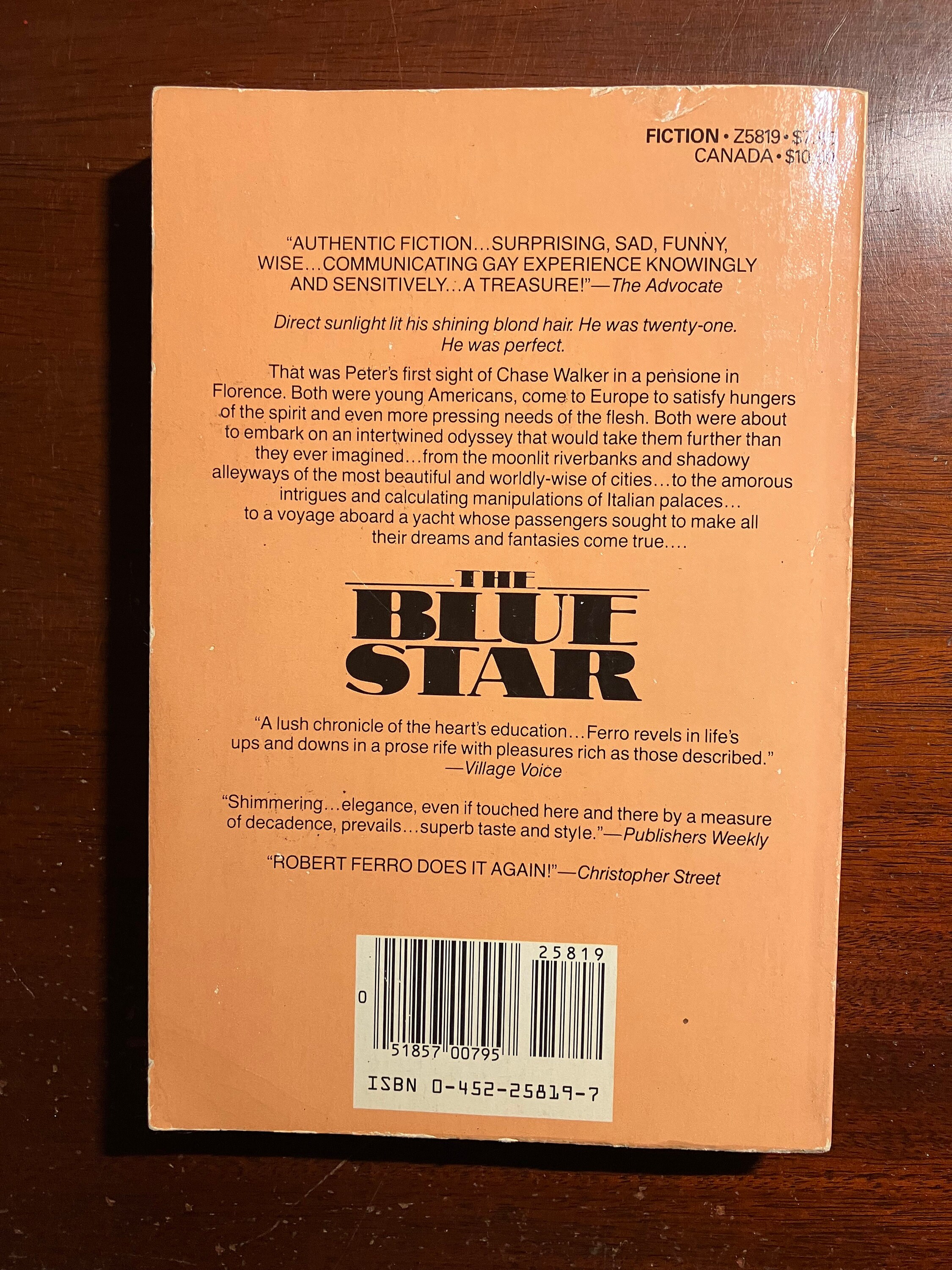 The Blue Star Robert Ferro 1986 1980s Vintage Paperback Book - Etsy