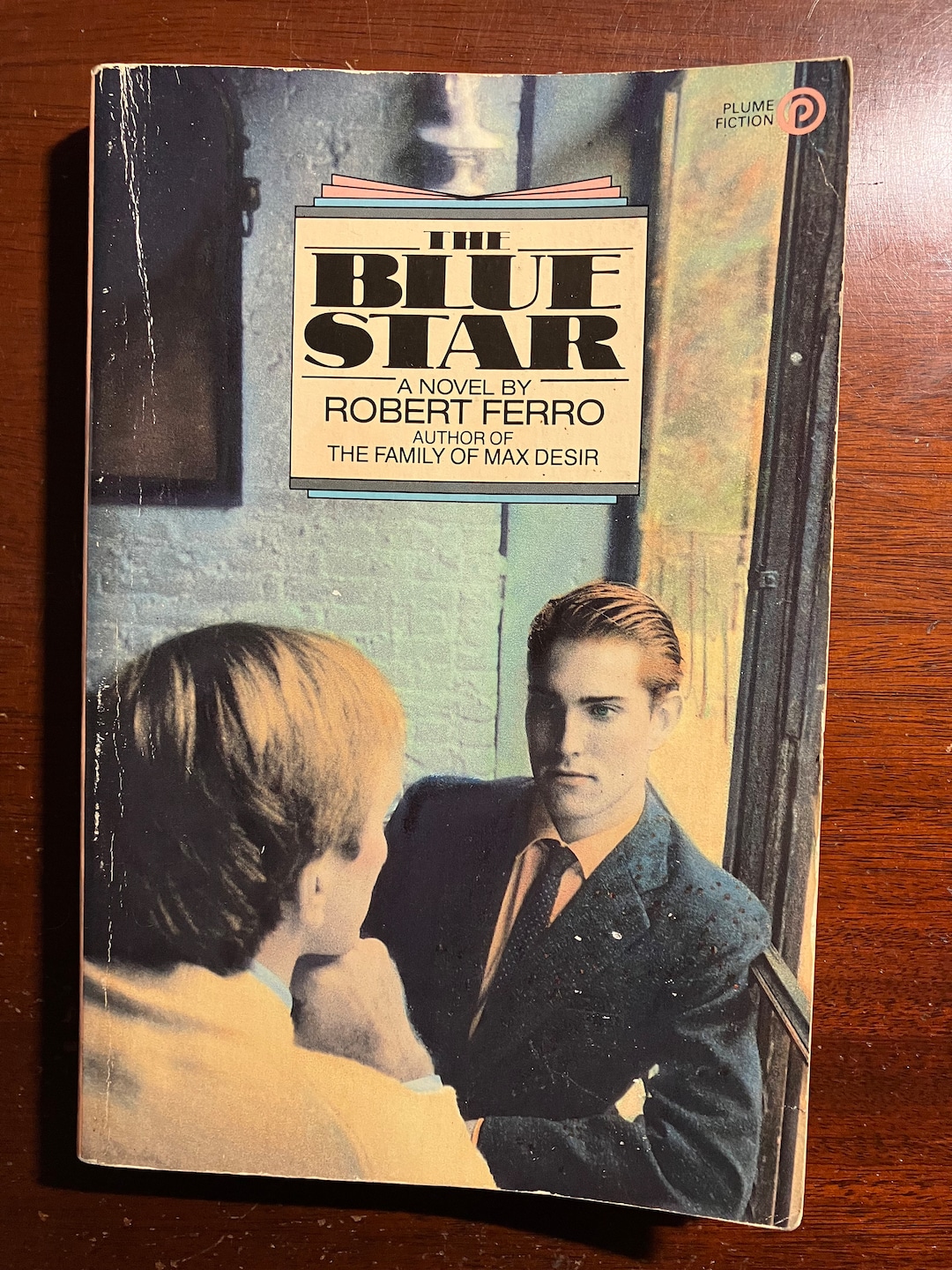 The Blue Star Robert Ferro 1986 1980s Vintage Paperback Book - Etsy