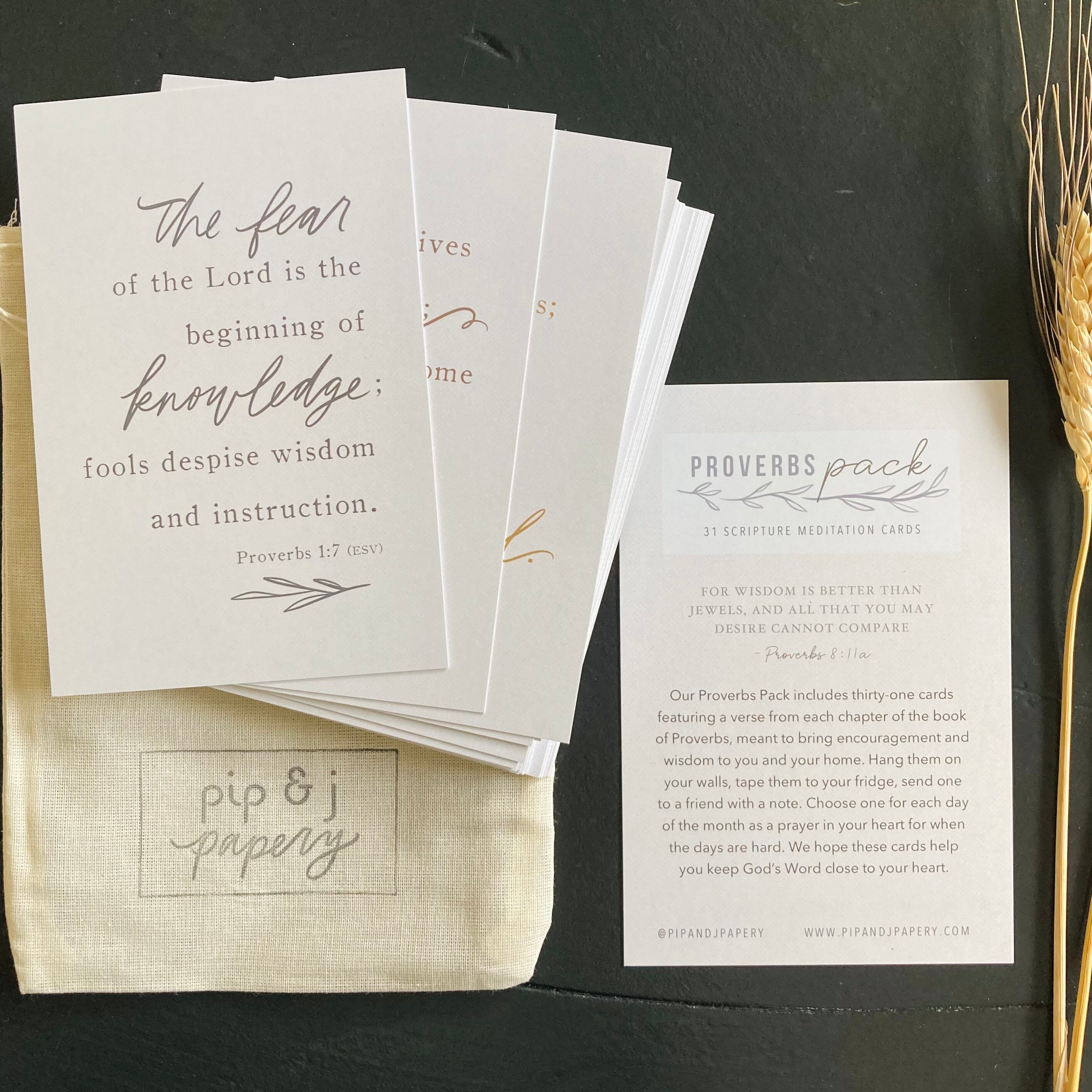 Proverbs Pack Handlettered Scripture Cards Encouragement | Etsy