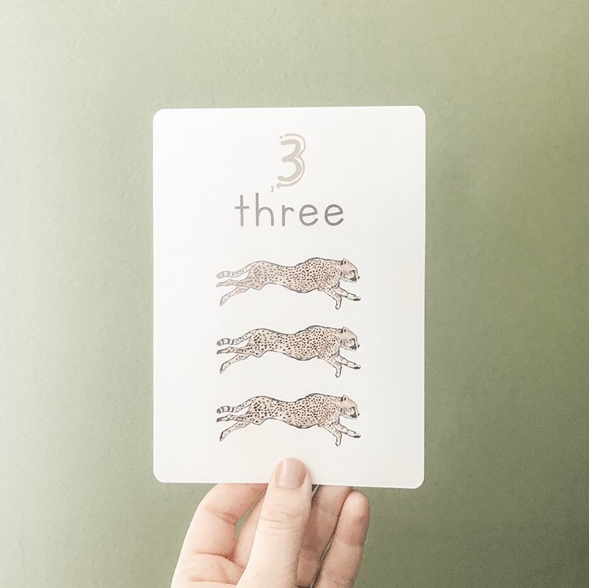 Animal ABC + 123 Flash Cards – Watercolor Illustration (homeschool) - Etsy