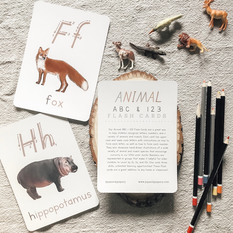 Animal ABC 123 Flash Cards Animal ABC Cards Animal - Etsy