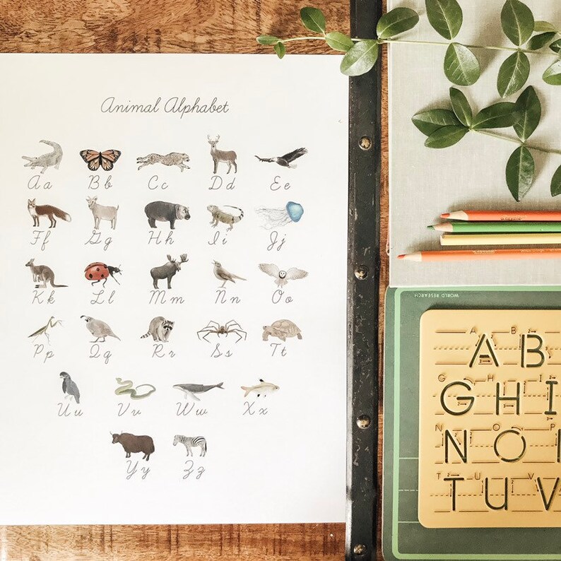 Animal Alphabet Poster Animal Poster ABC Animal Poster - Etsy