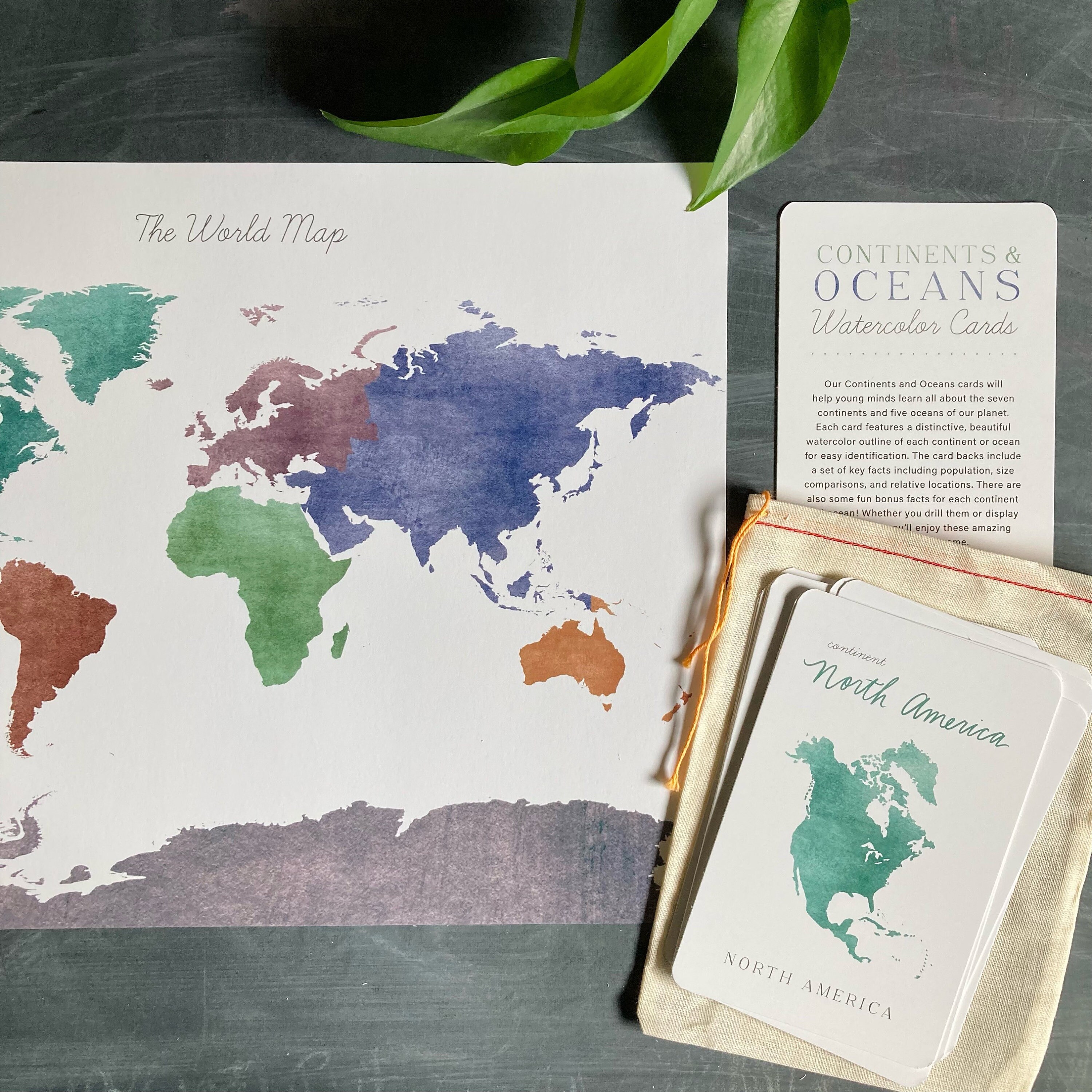 Wold Map Watercolor Poster Geography Map Continents and - Etsy