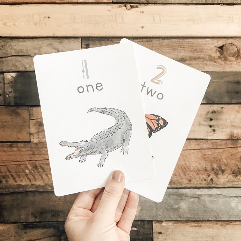 Animal ABC 123 Flash Cards Animal ABC Cards Animal | Etsy