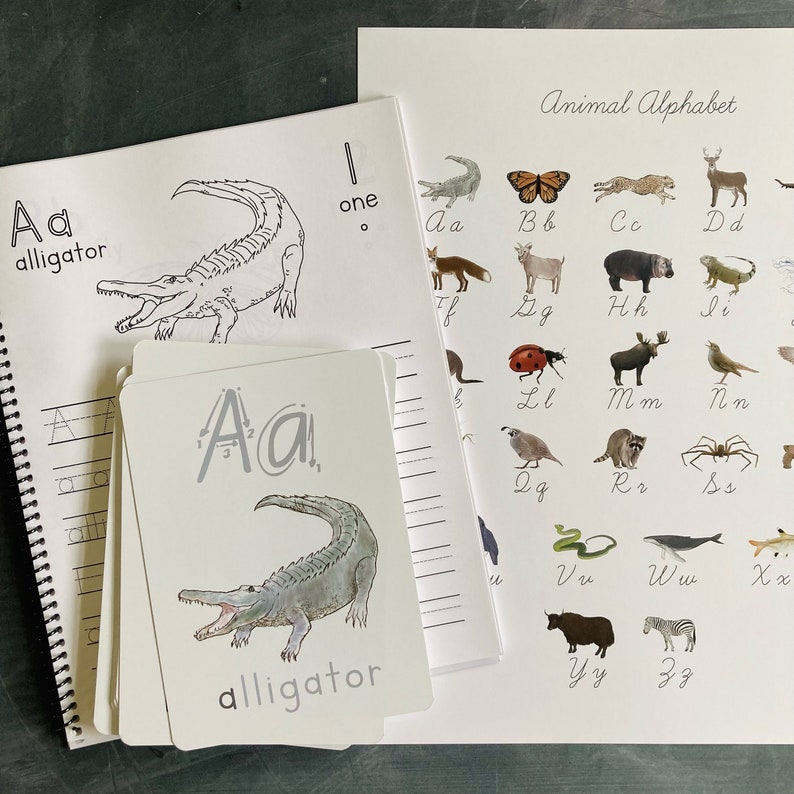 Primary Stage Bundle Early Learning Kit Early Learning - Etsy