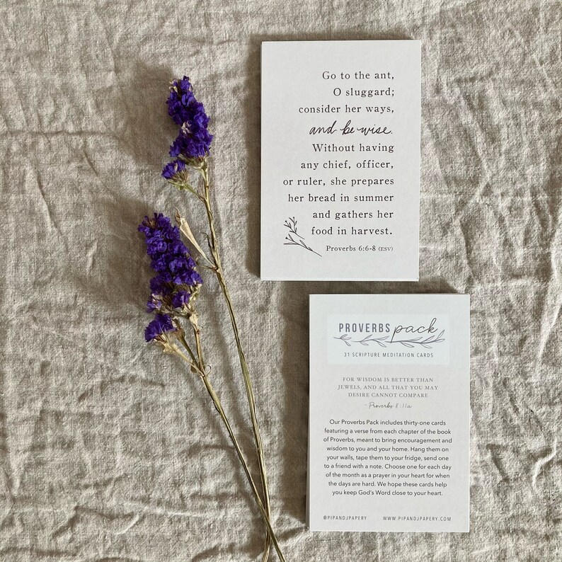 Proverbs Pack Handlettered Scripture Cards Encouragement - Etsy