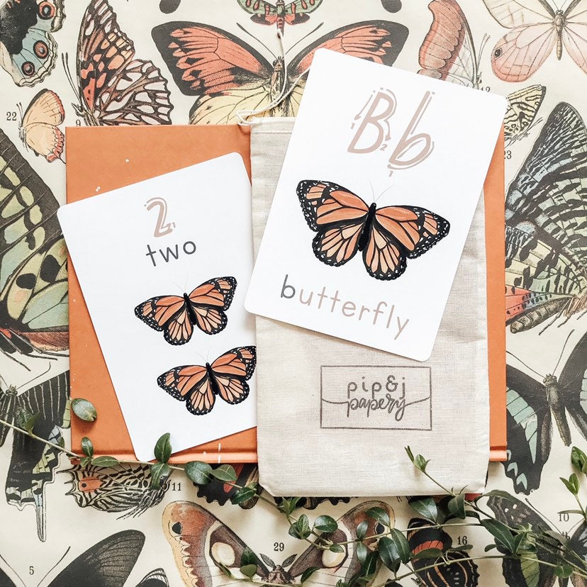 Animal ABC 123 Flash Cards Animal ABC Cards Animal | Etsy