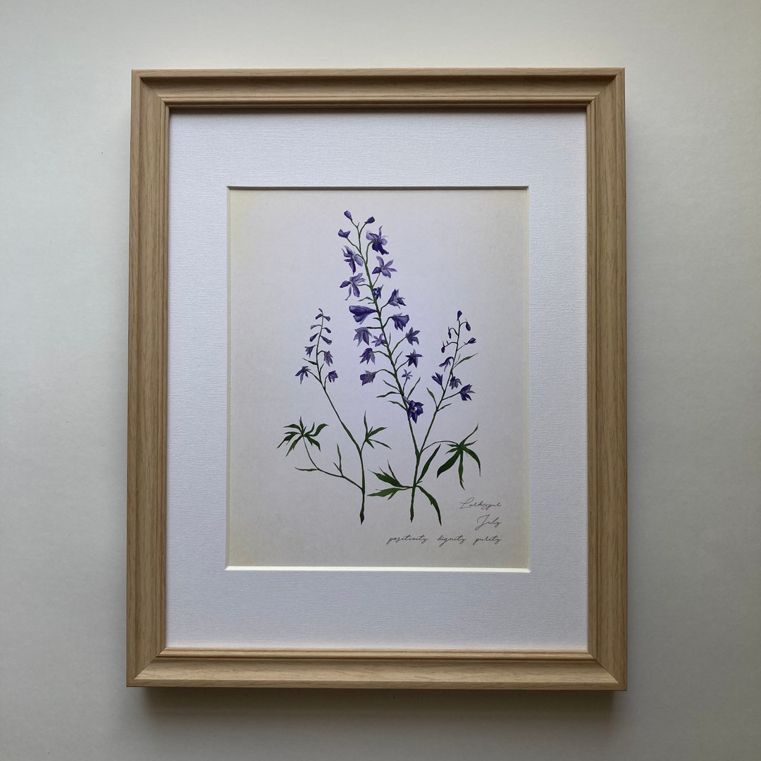 July | Larkspur Botanical - Etsy