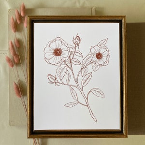 Botanical Ink Drawing - French Rose - Etsy