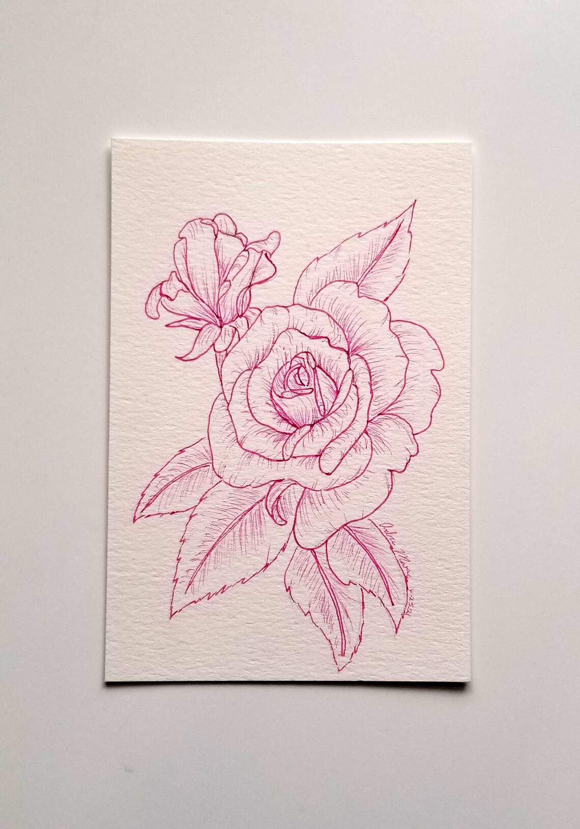 Pink Roses Original Line Art Drawing 4x6 Pen Art | Etsy
