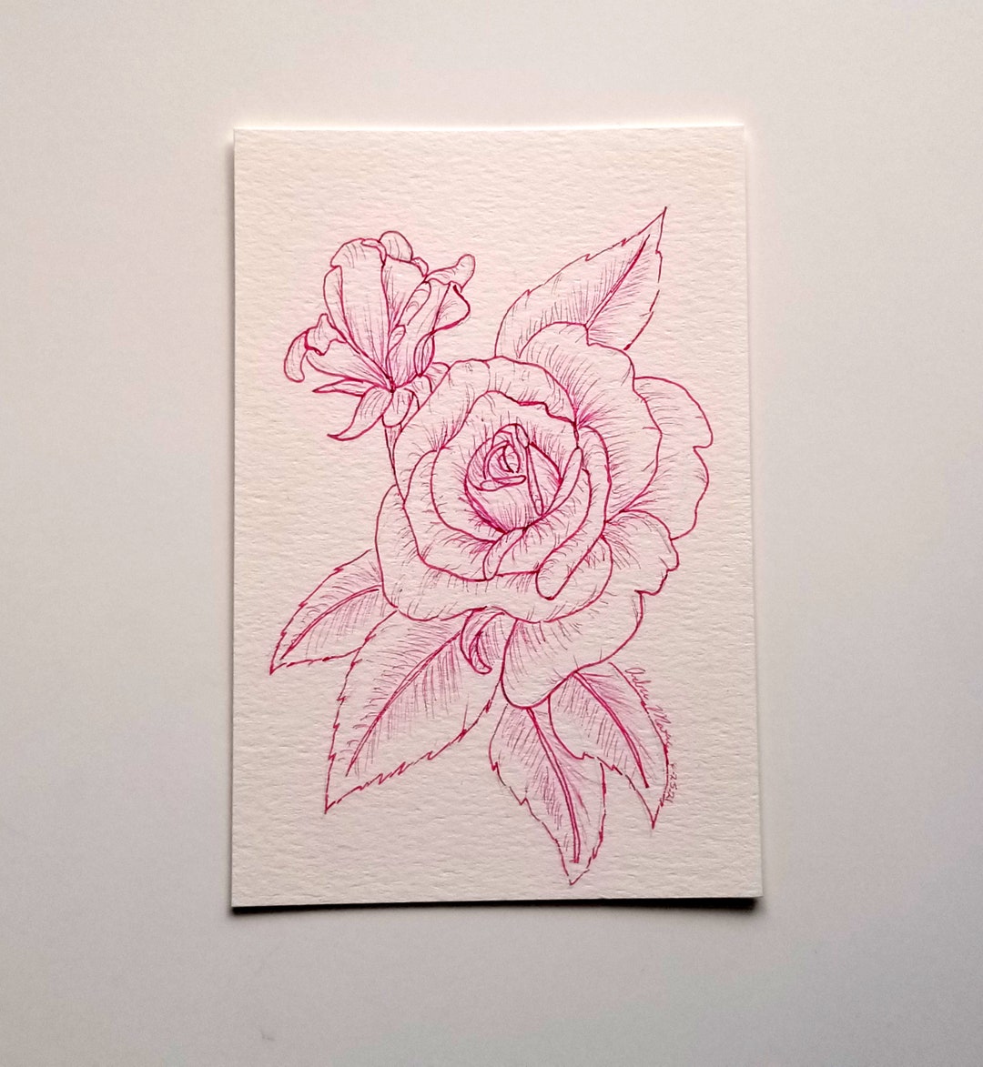Pink Roses Original Line Art Drawing, 4x6 Pen Art - Etsy