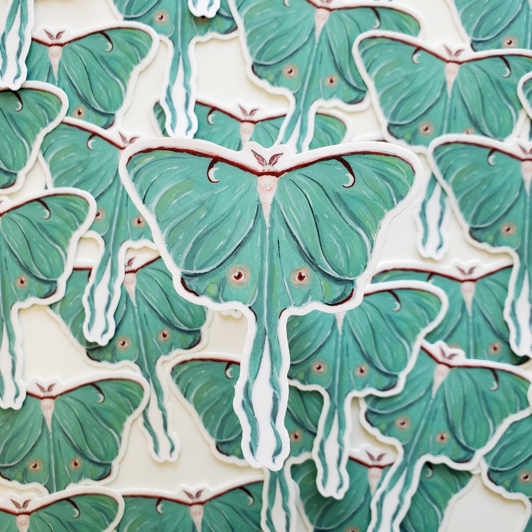 Luna Moth With Eyes Sticker - Etsy