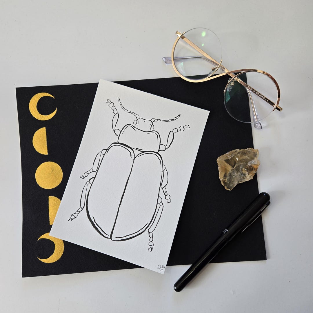 5x7 Brush Pen Beetle Drawing #4 - Etsy