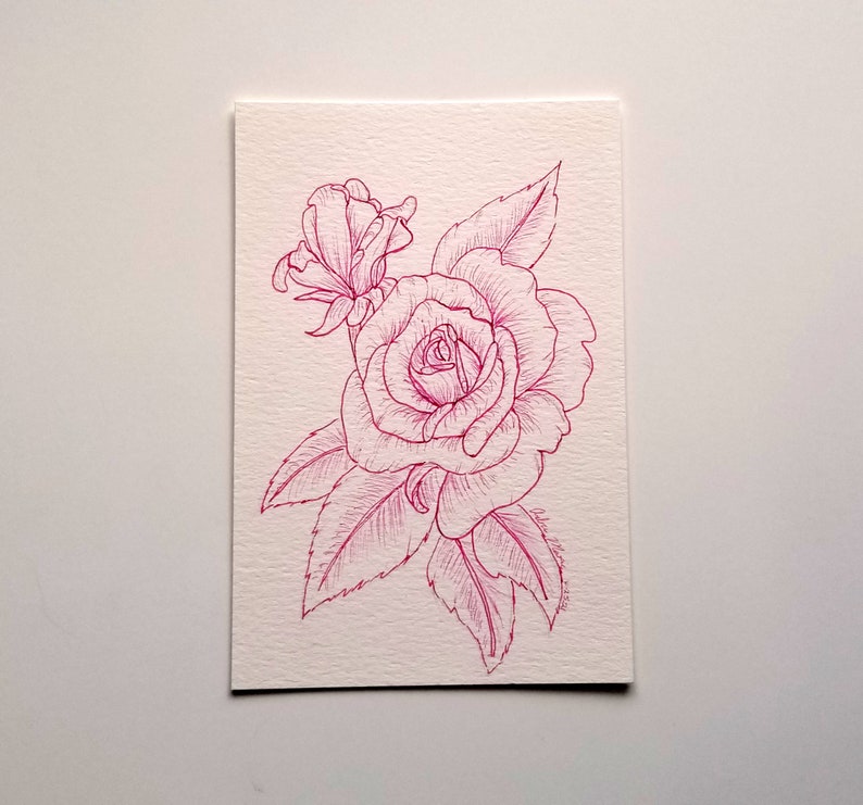 Pink Roses Original Line Art Drawing 4x6 Pen Art - Etsy