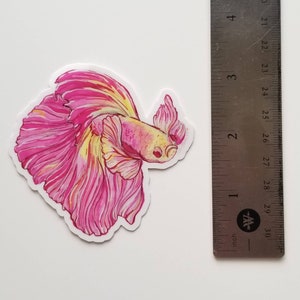 Grumpy and Pink Betta Fish Vinyl Sticker for Water Bottles. - Etsy