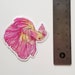 Grumpy and Pink Betta Fish Vinyl Sticker for Water Bottles. - Etsy