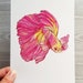 Grumpy and Pink Betta Fish 5x7 Art Print - Etsy
