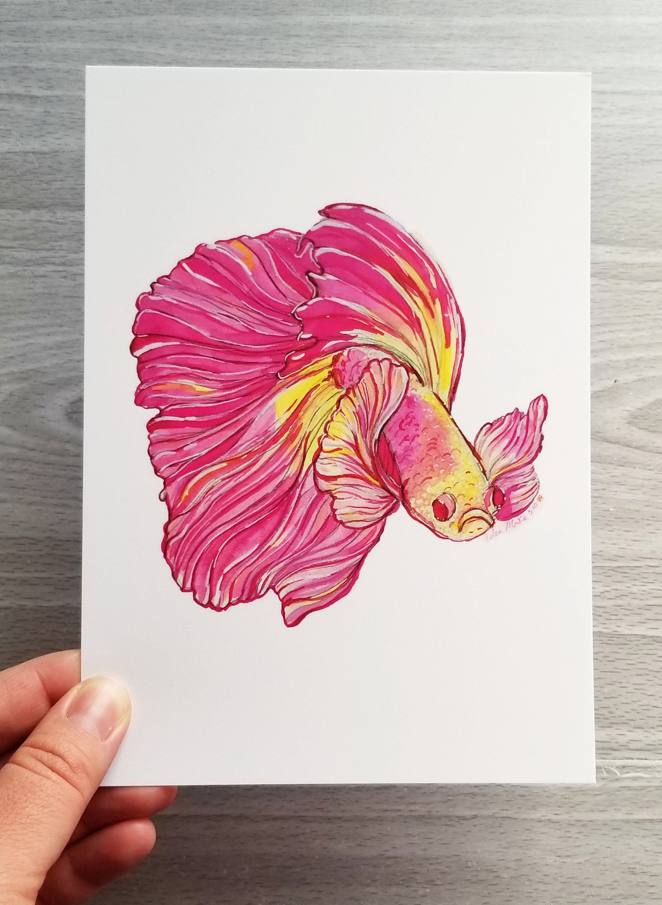 Grumpy and Pink Betta Fish 5x7 Art Print | Etsy