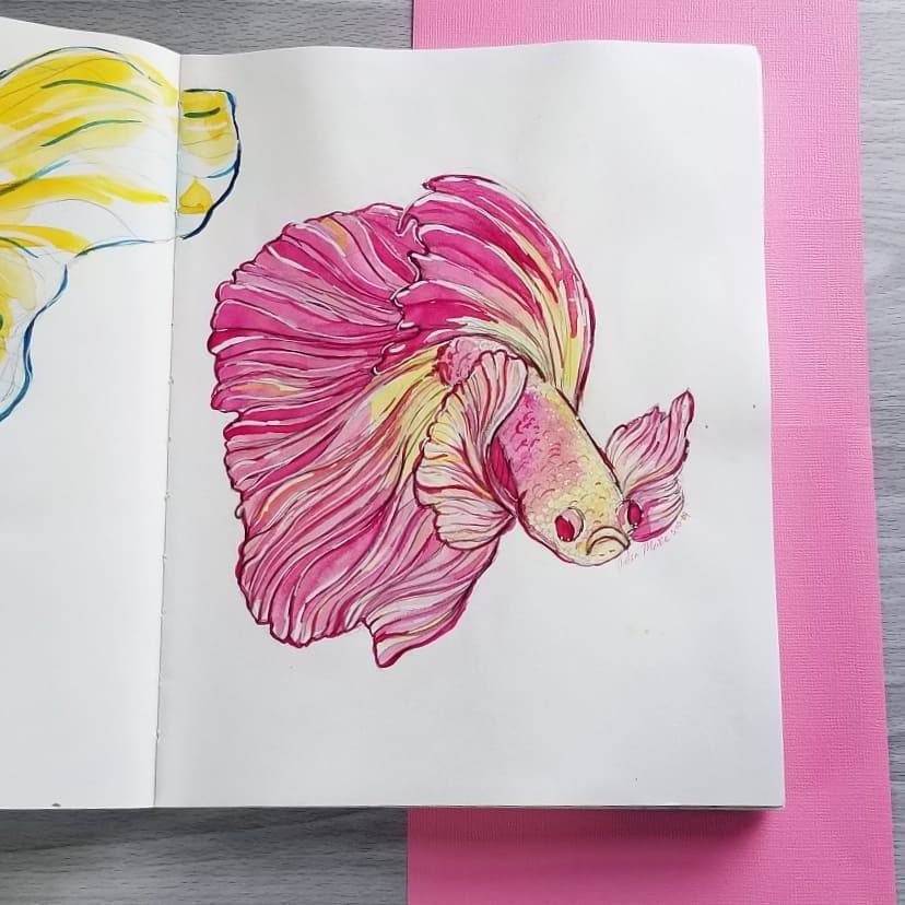 Grumpy and Pink Betta Fish 5x7 Art Print | Etsy