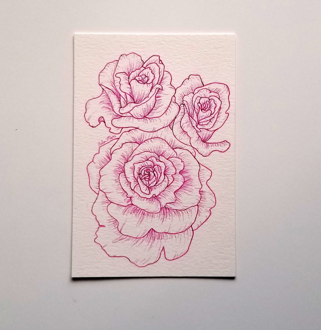 Pink Roses Original Line Art Drawing, 4x6 - Etsy