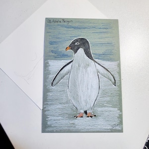 4x6 Adelie Penguin Drawing - Etsy