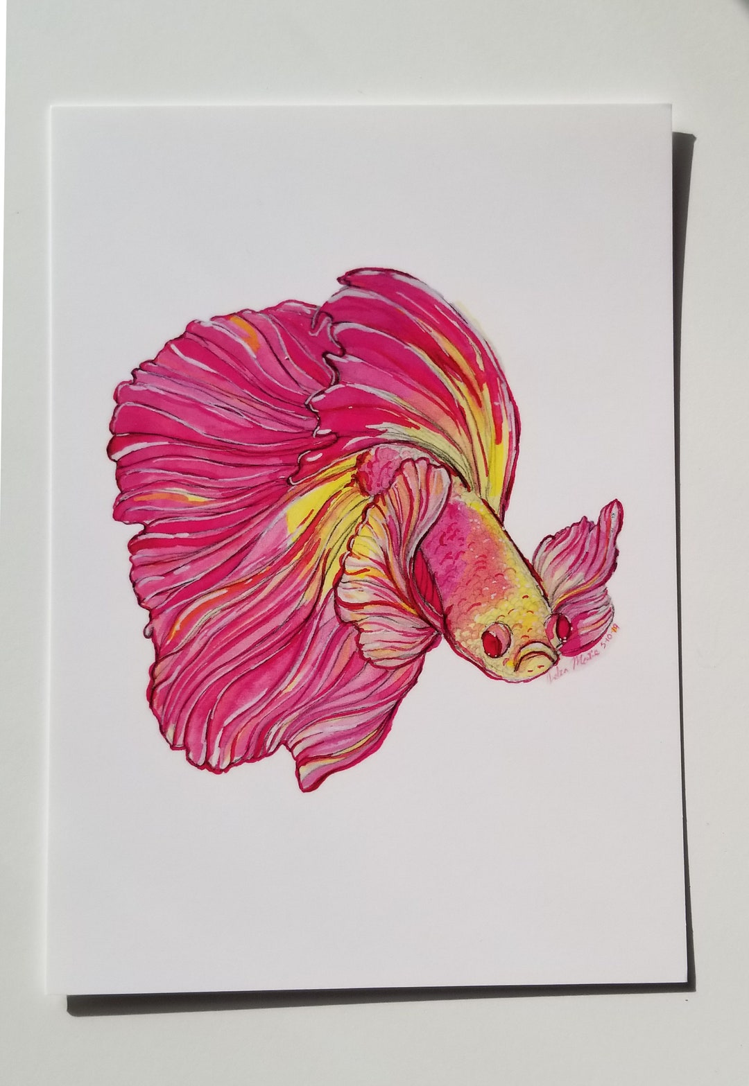 Grumpy and Pink Betta Fish 5x7 Art Print - Etsy