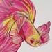 Grumpy and Pink Betta Fish 5x7 Art Print - Etsy