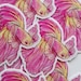 Grumpy and Pink Betta Fish Vinyl Sticker for Water Bottles. - Etsy