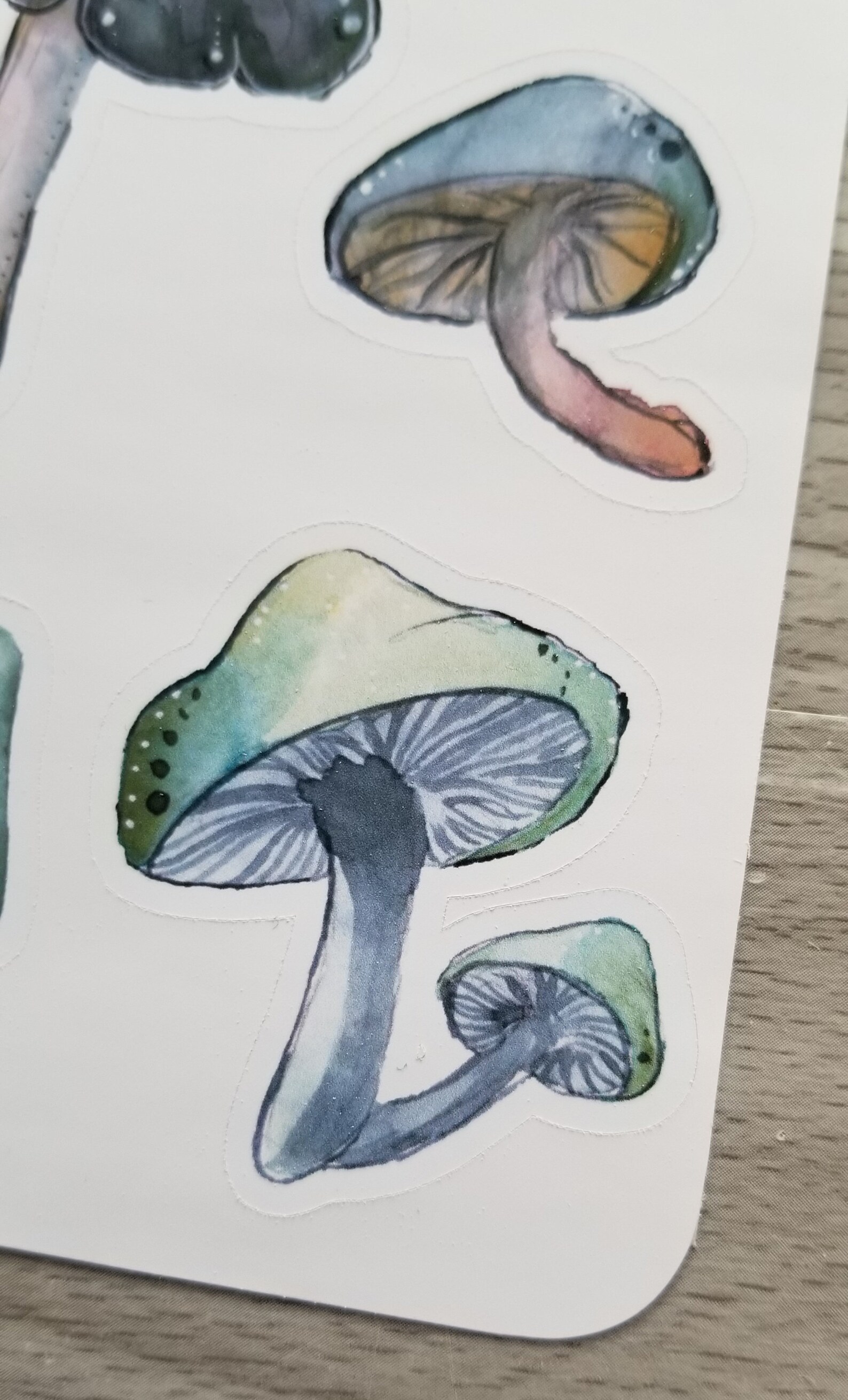 Watercolor Mushroom Sticker Sheet | Etsy