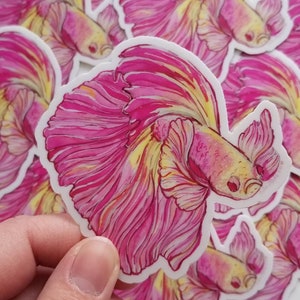 Grumpy and Pink Betta Fish Vinyl Sticker for Water Bottles. - Etsy