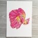 Grumpy and Pink Betta Fish 5x7 Art Print - Etsy
