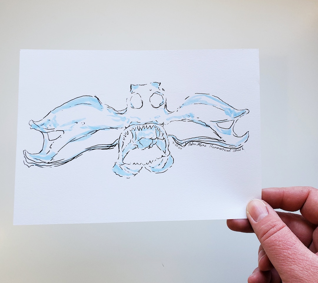 Hammerhead Shark Skull Brush Pen and Marker Drawing, 5x7 Art - Etsy