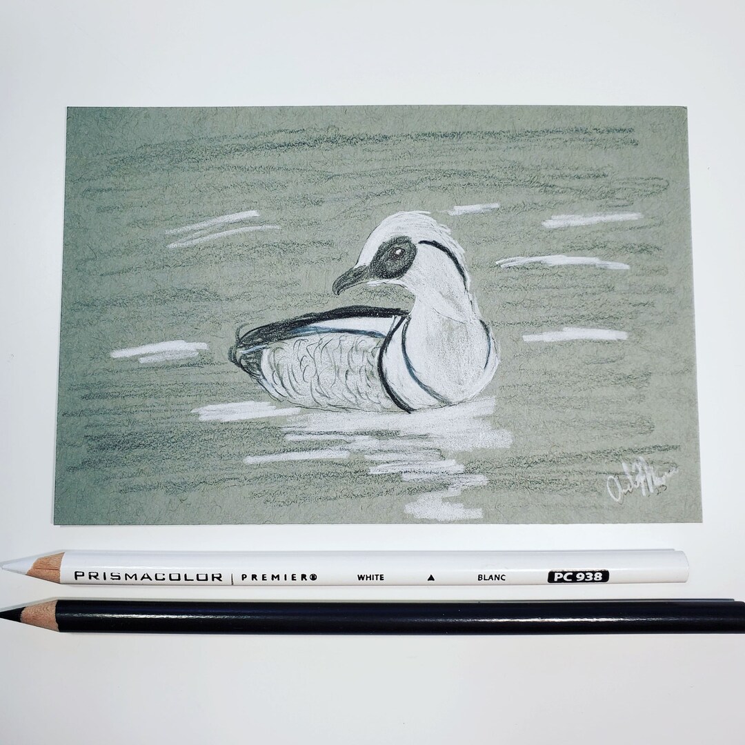 Smew Duck 4x6 Drawing - Etsy