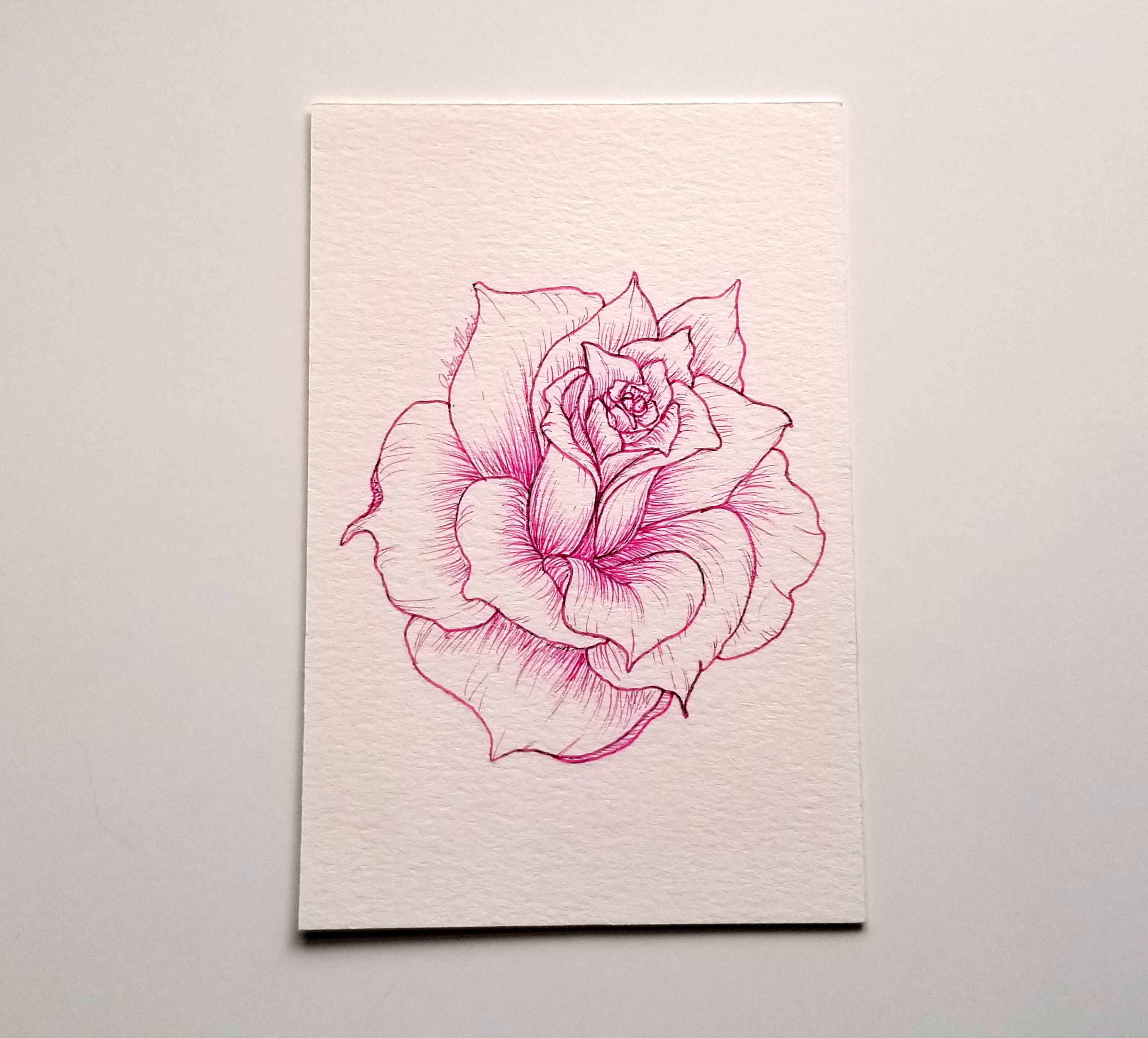 Single Pink Rose 4x6 Original Drawing Artwork - Etsy