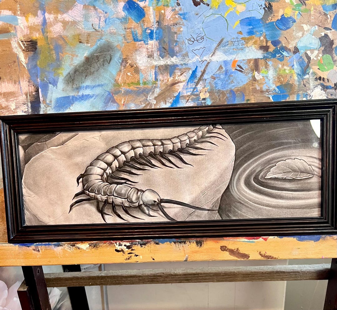 Centipede Art, Centipede Wall Art, Centipede Charcoal Drawing - Etsy