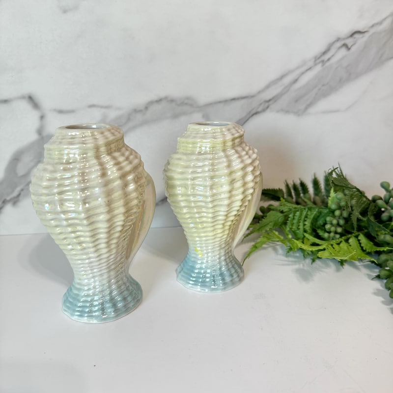 Seashell Vase - Etsy