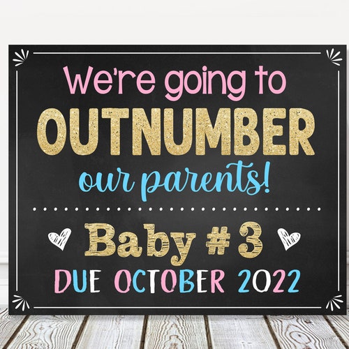 Baby 3 Pregnancy Announcement Big Sisters to 3rd Baby Number - Etsy