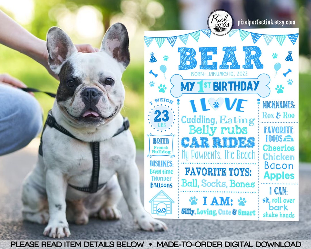 Dog Birthday Sign, Personalized Pet Party Decorations, Milestone White ...