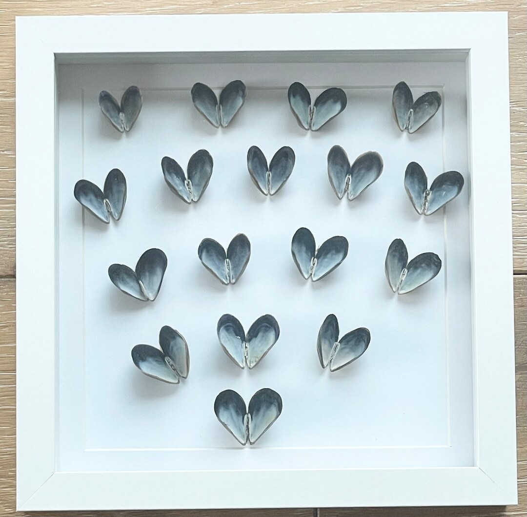 Mussel Shell Artwork, Shell Art, Beach House, Sea Inspired, Ocean ...