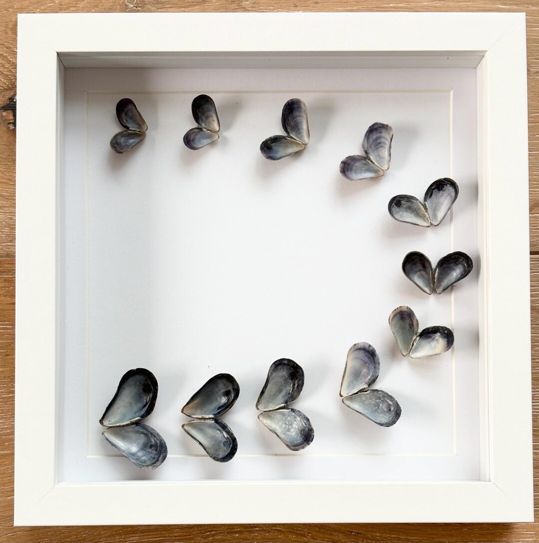 Mussel Shell Artwork, Sea Shell Art, Beach House, Sea Inspired, Ocean ...