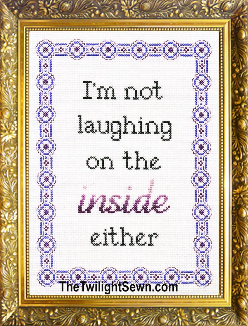 I'm Not Laughing on the Inside Either Cross Stitch Chart - Etsy New Zealand