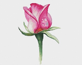 Rose Cross Stitch | Etsy