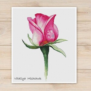 Rose Cross Stitch Pattern Garden Flowers Plants Rose With Dew Drops of ...