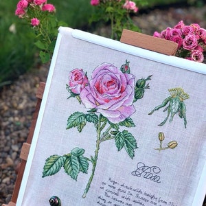 Rose Botanical Cross Stitch Pattern Garden Flower Floral - Etsy