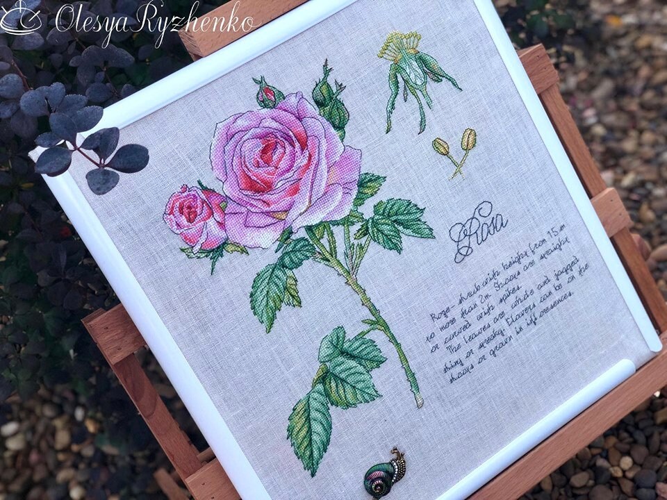 Rose Botanical Cross Stitch Pattern Flower Cross Stitch - Etsy