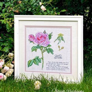 Rose Botanical Cross Stitch Pattern Garden Flower Floral - Etsy